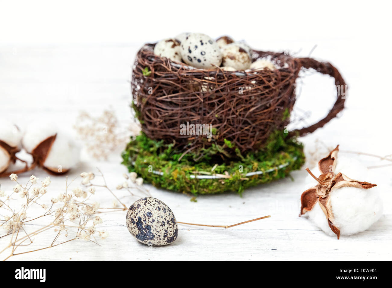 Easter decoration with egg in nest cup and cotton on white wooden ...