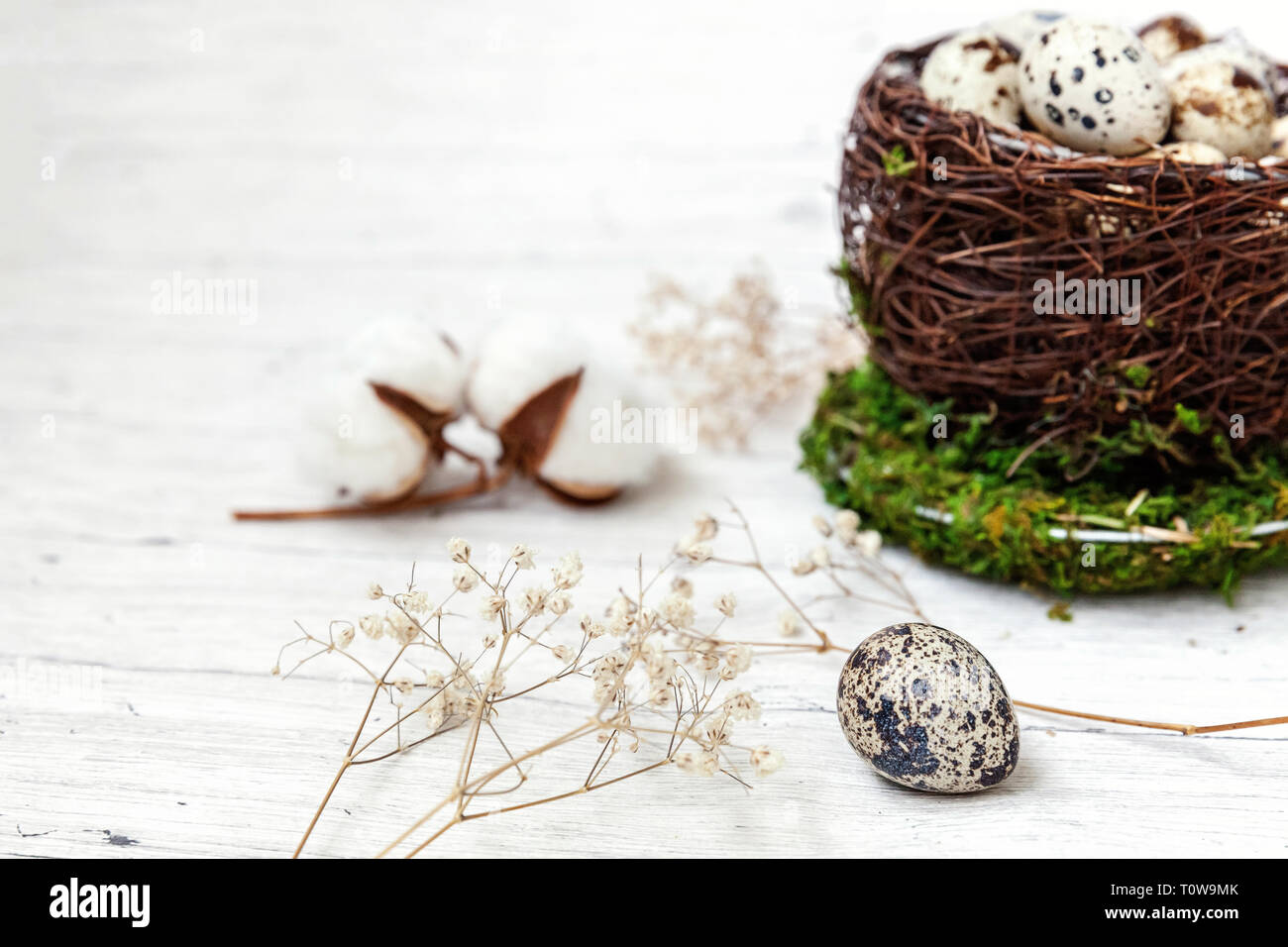 Easter decoration with egg in nest cup and cotton on white wooden ...