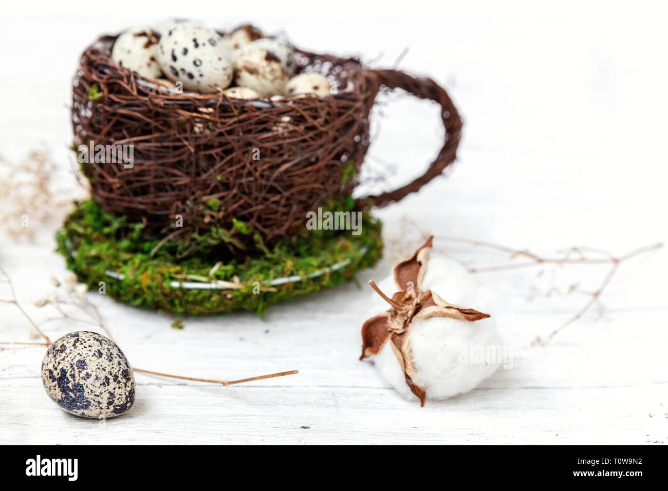 Easter decoration with egg in nest cup and cotton on white wooden ...