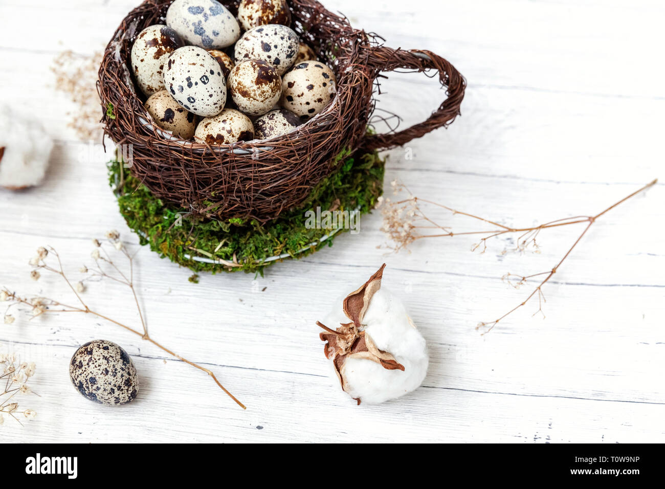 Easter decoration with egg in nest cup and cotton on white wooden ...