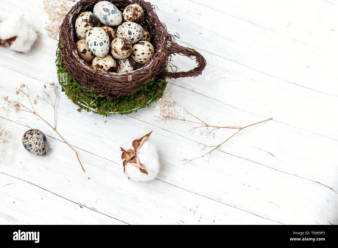 Easter decoration with egg in nest cup and cotton on white wooden ...