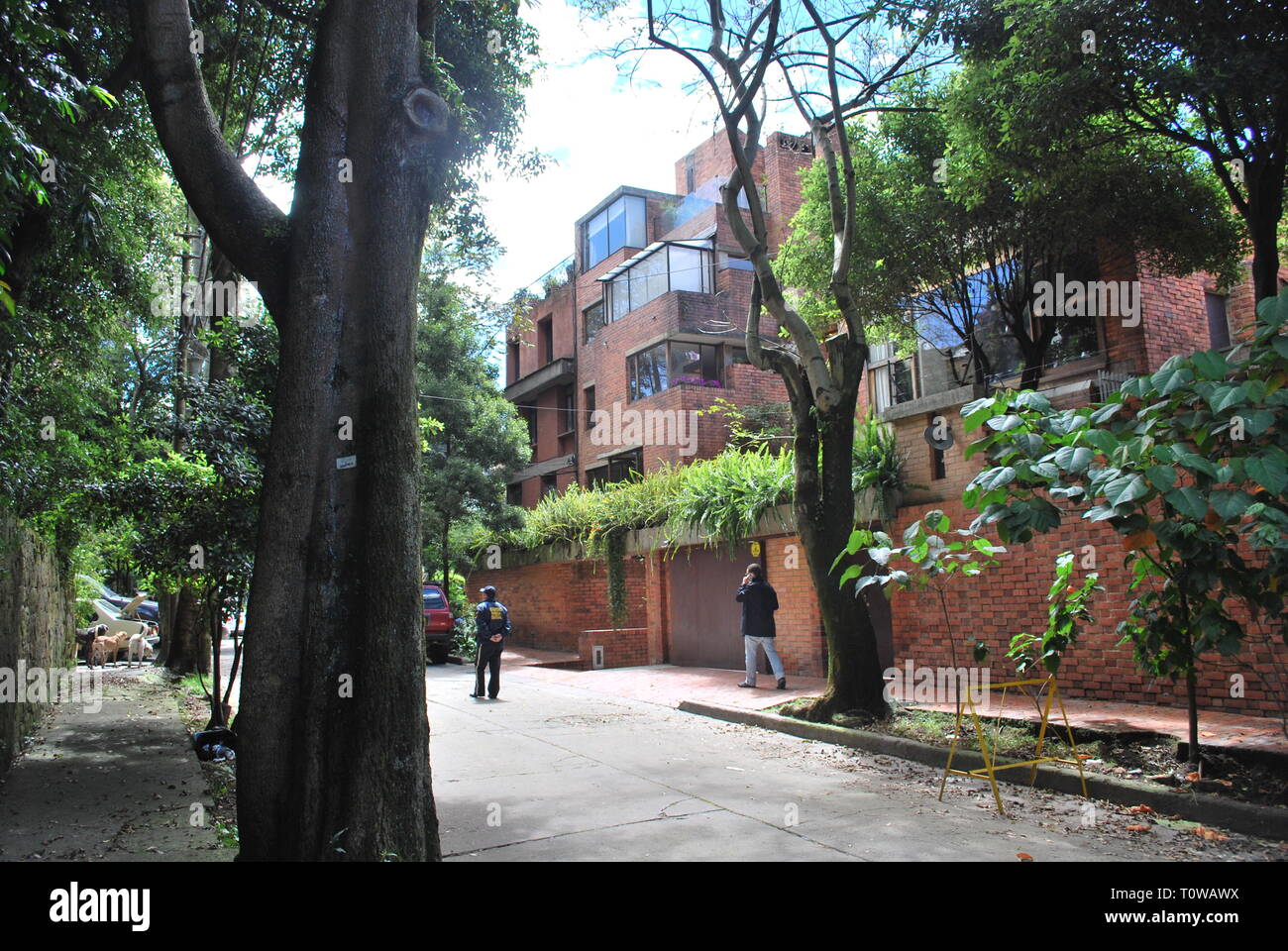 Tree lined street in artistic neighbourhood of Bogota Stock Photo - Alamy