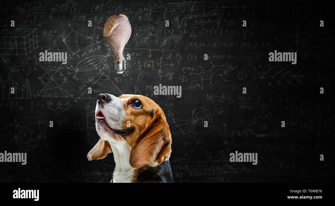 Your smart friend. Mixed media Stock Photo - Alamy