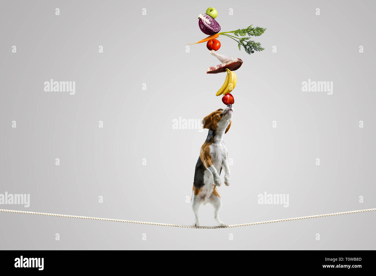 Your smart friend. Mixed media Stock Photo - Alamy