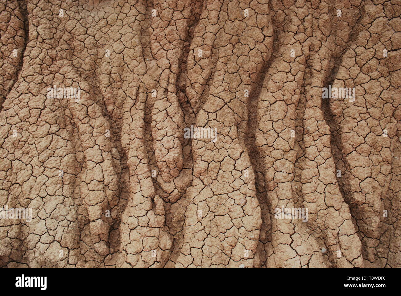 rivulets in the earth, formed by flash floods, small desert Stock Photo ...