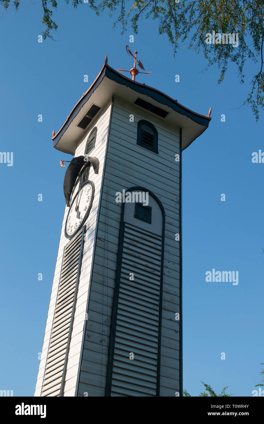 The oldest structure in the city, Atkinson Clock Tower, from 1905, in ...
