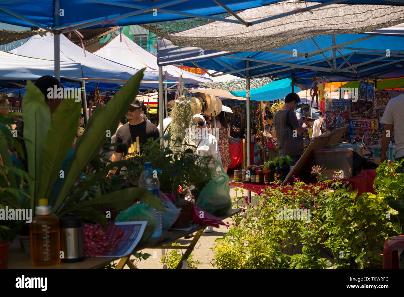 Wandering the famous Sunday market along Gaya street in Kota Kinabalu ...