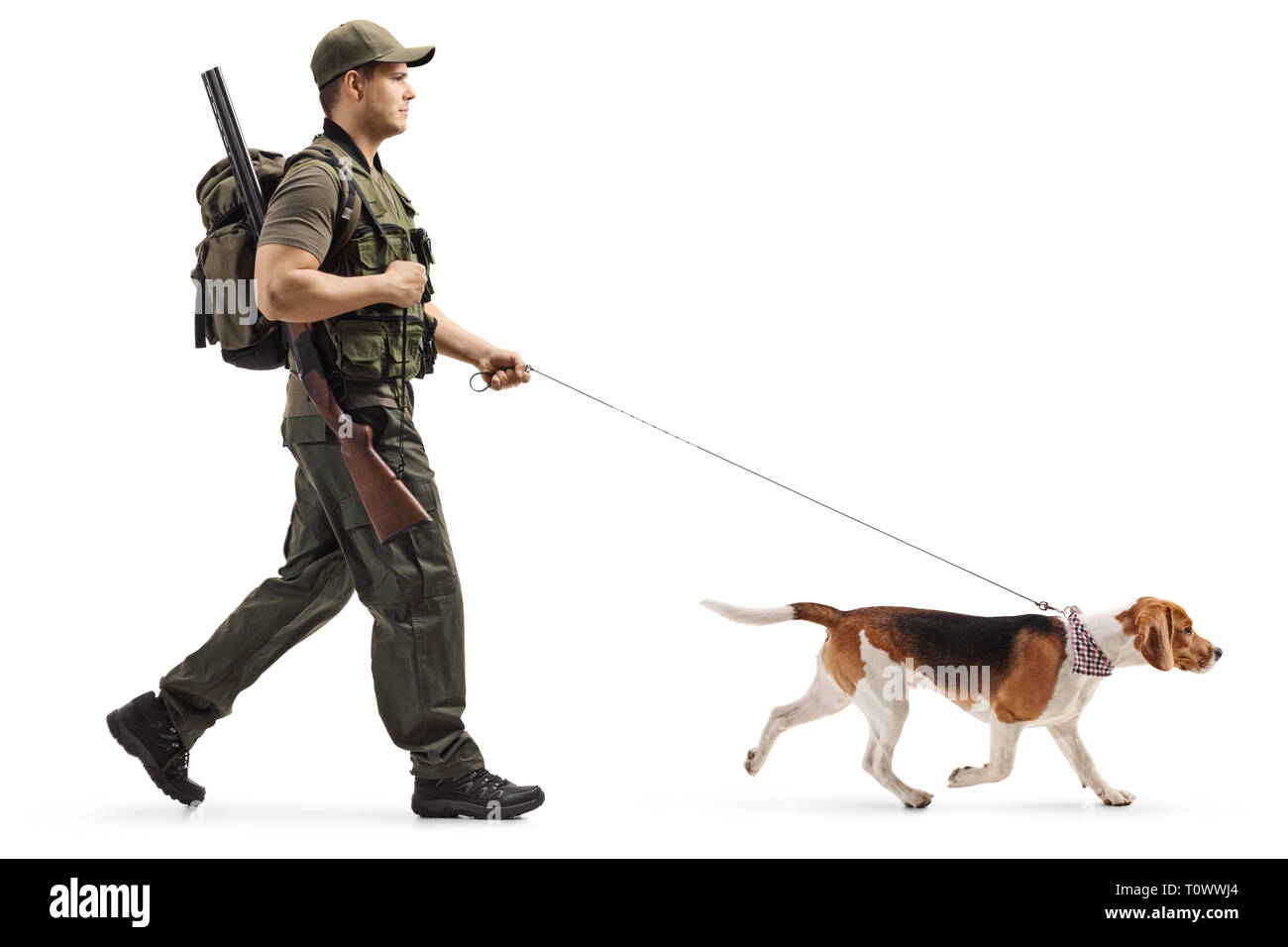 Beagle puppy huntsman hi-res stock photography and images - Alamy