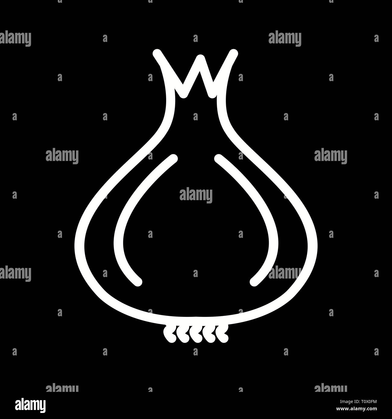 Onion square Black and White Stock Photos & Images - Alamy