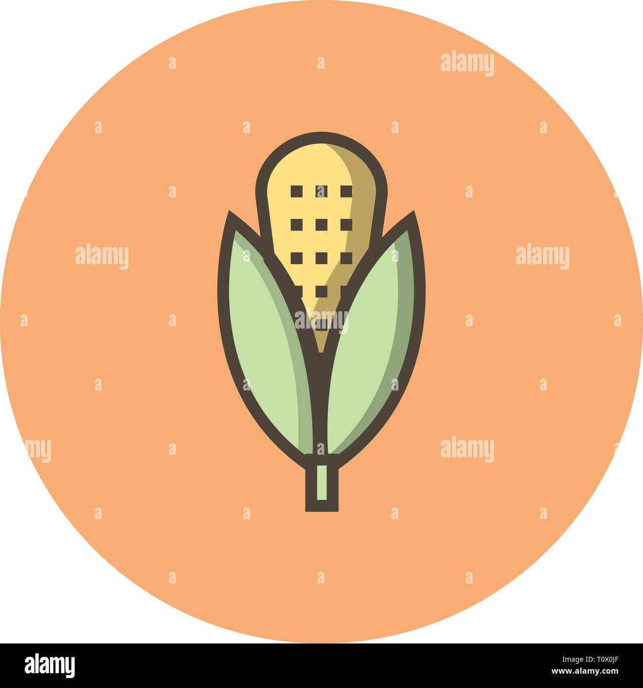 Illustration Corn Icon Stock Photo - Alamy