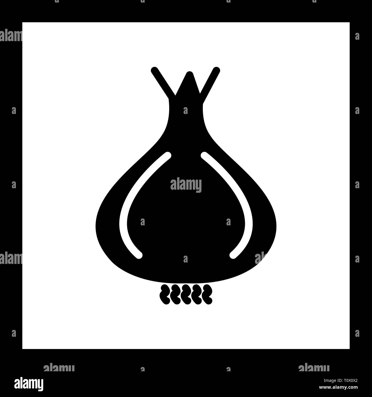 Onion square Black and White Stock Photos & Images - Alamy