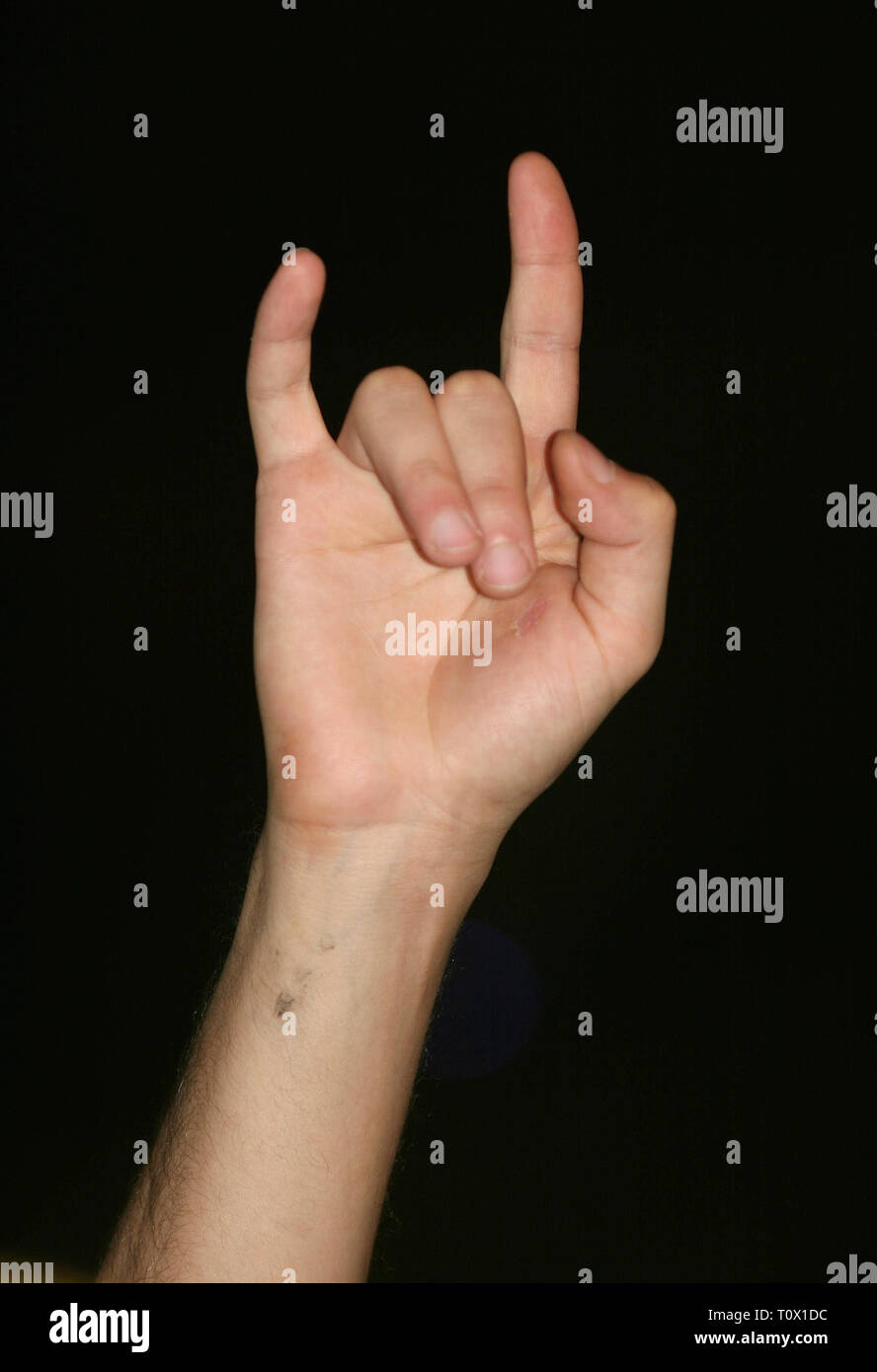 The devil hand is shown raised in the air during a "live" concert ...