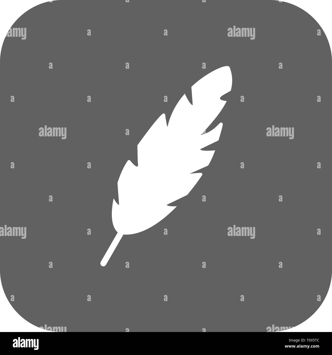 Illustration Calligraphy Icon Stock Photo - Alamy