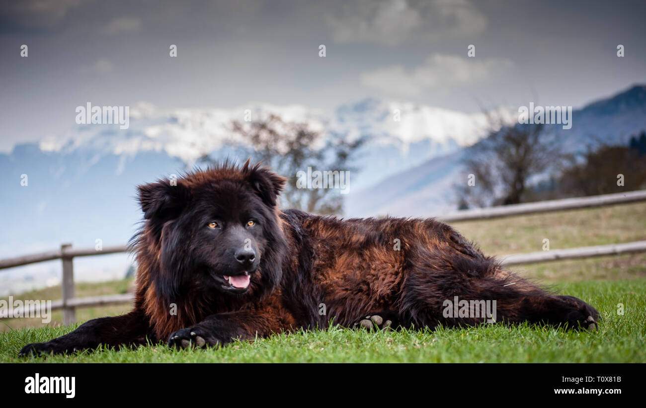 Guard mountain hi-res stock photography and images - Alamy