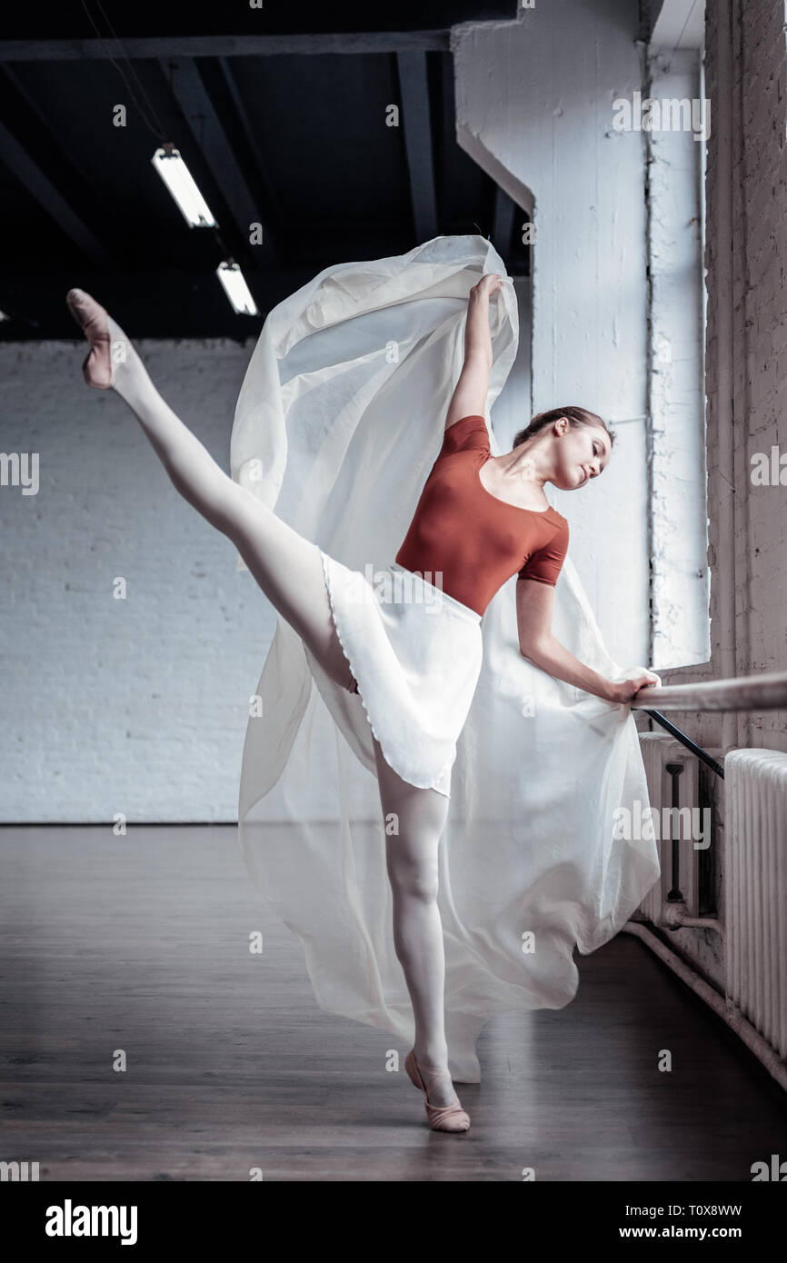 Nice attractive ballet dancer enjoying her work Stock Photo - Alamy