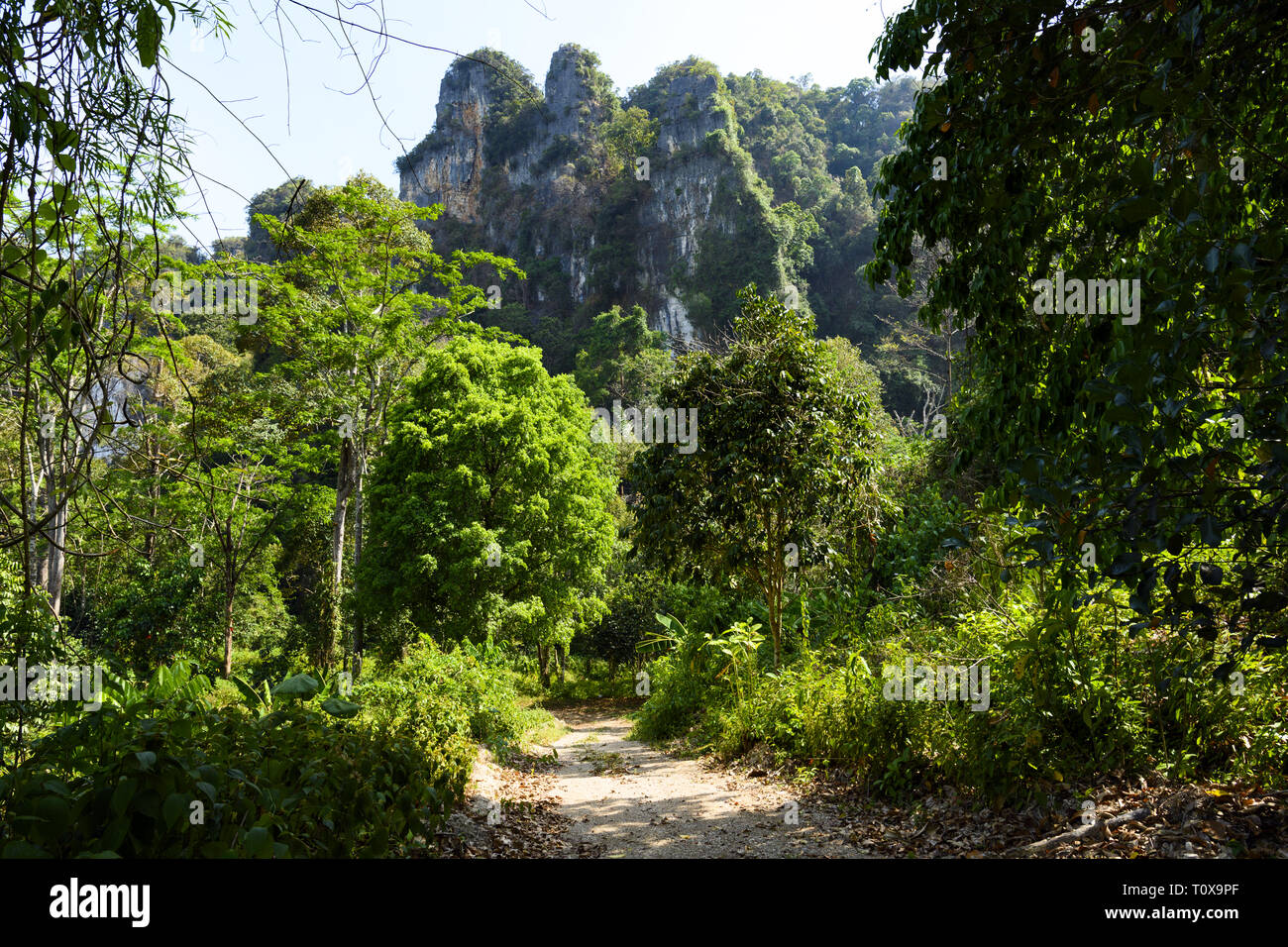 Rich caves hi-res stock photography and images - Alamy