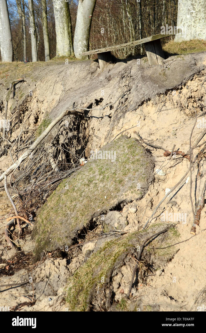 Erosion roots hi-res stock photography and images - Alamy