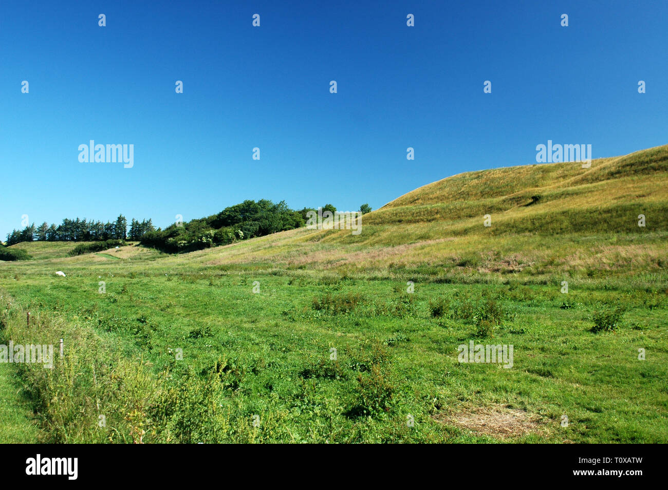 Sloped landscape, formed by a subglacial stream trench during ice age ...