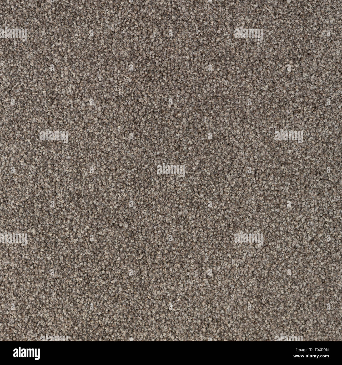 Texture of coloured carpet with short pile Stock Photo - Alamy