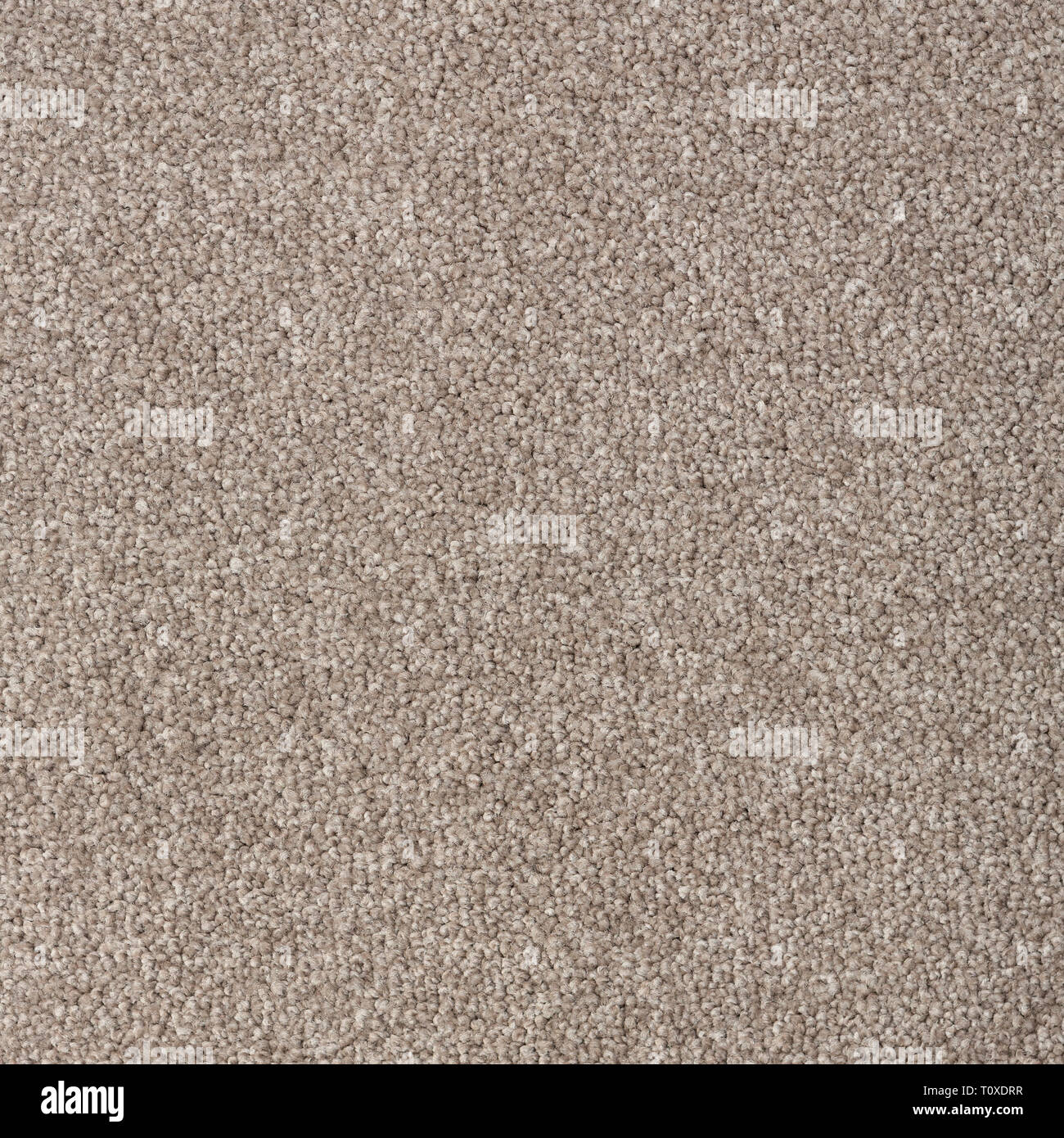 Texture of coloured carpet with short pile Stock Photo - Alamy