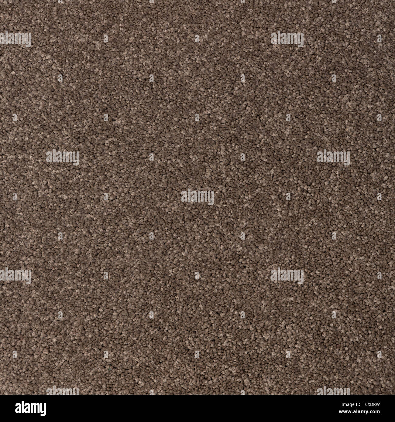 Texture of coloured carpet with short pile Stock Photo - Alamy