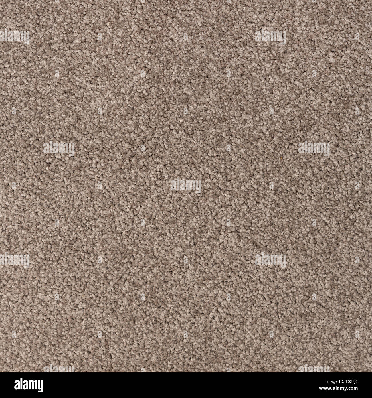 Texture of coloured carpet with short pile Stock Photo - Alamy