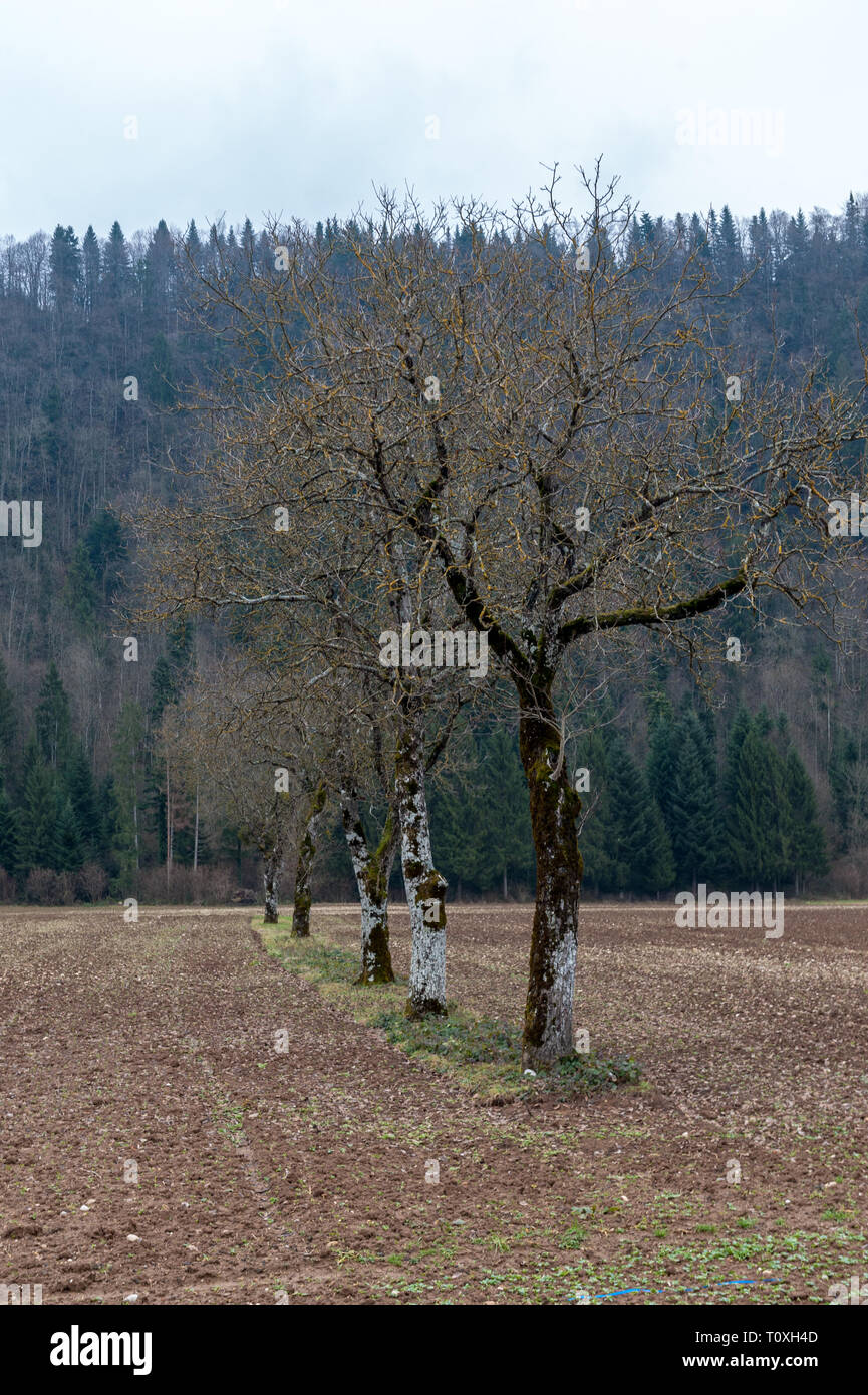 Impression of the Country side in the French Savoy Area Stock Photo - Alamy