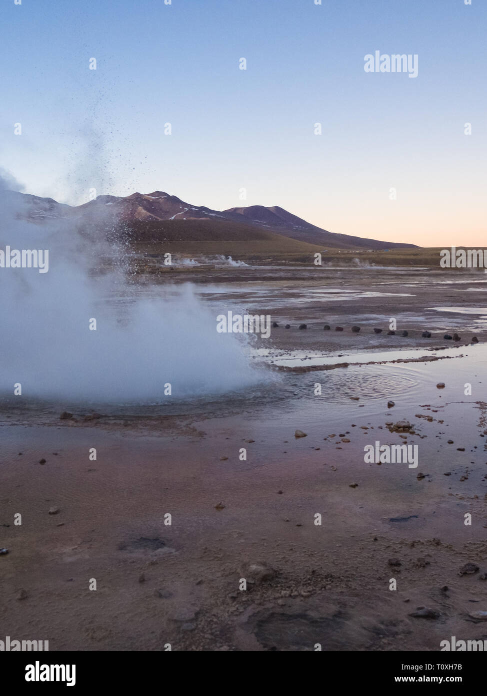 Geyser del tatio hi-res stock photography and images - Alamy