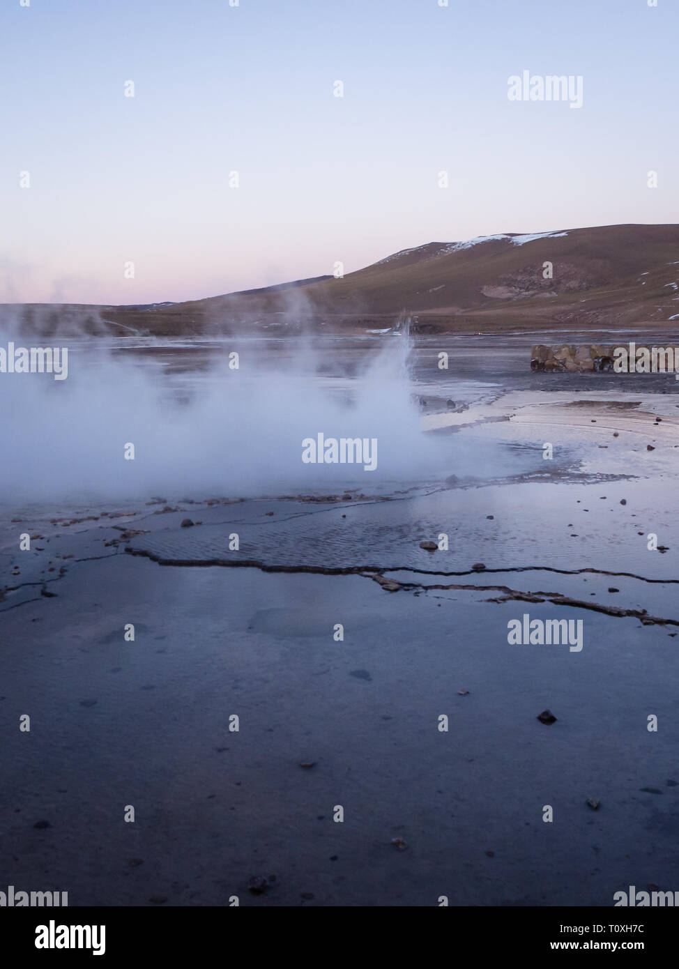 Atacama geysers (del Tatio) emitting steam in the early morning hours ...