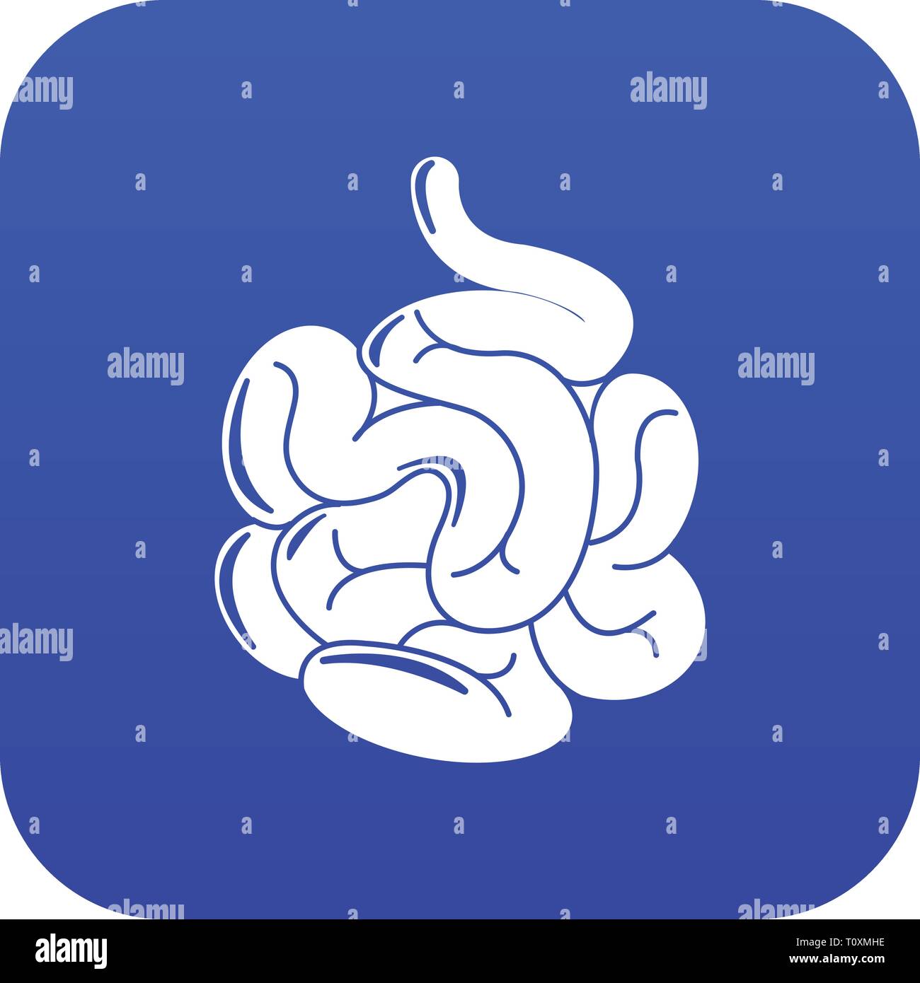 Small intestine icon blue vector Stock Vector Image & Art - Alamy