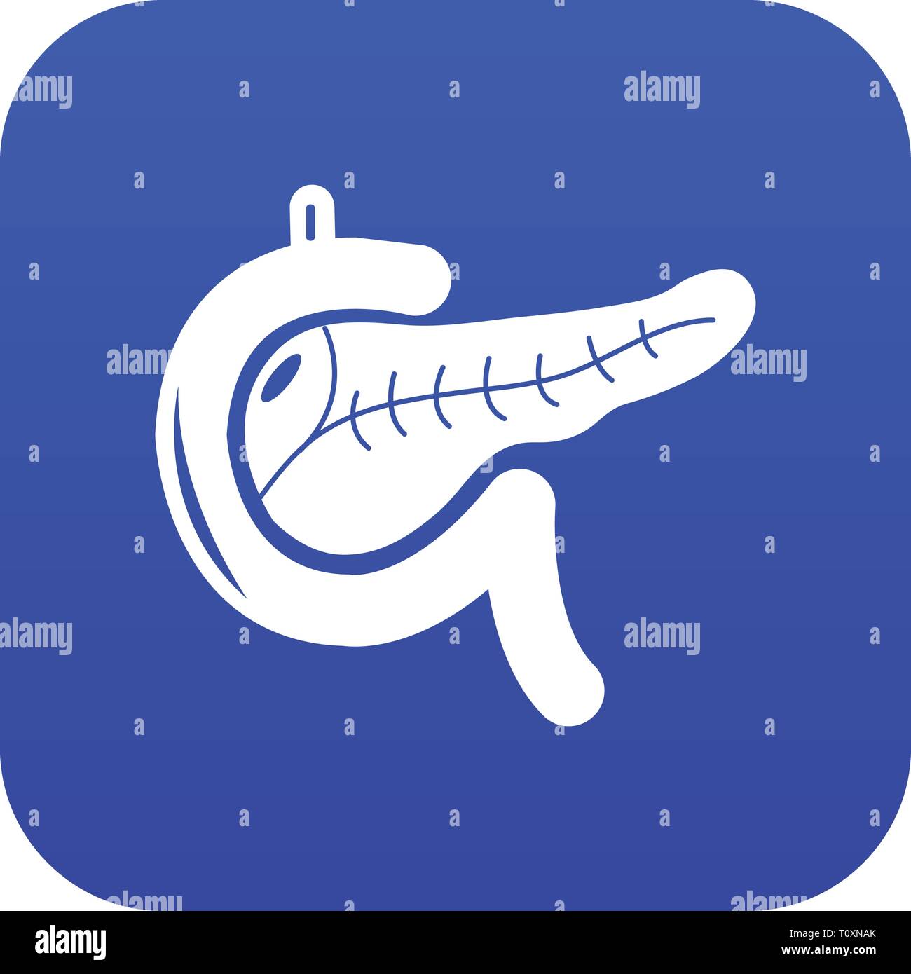 Pancreas icon blue vector Stock Vector Image & Art - Alamy