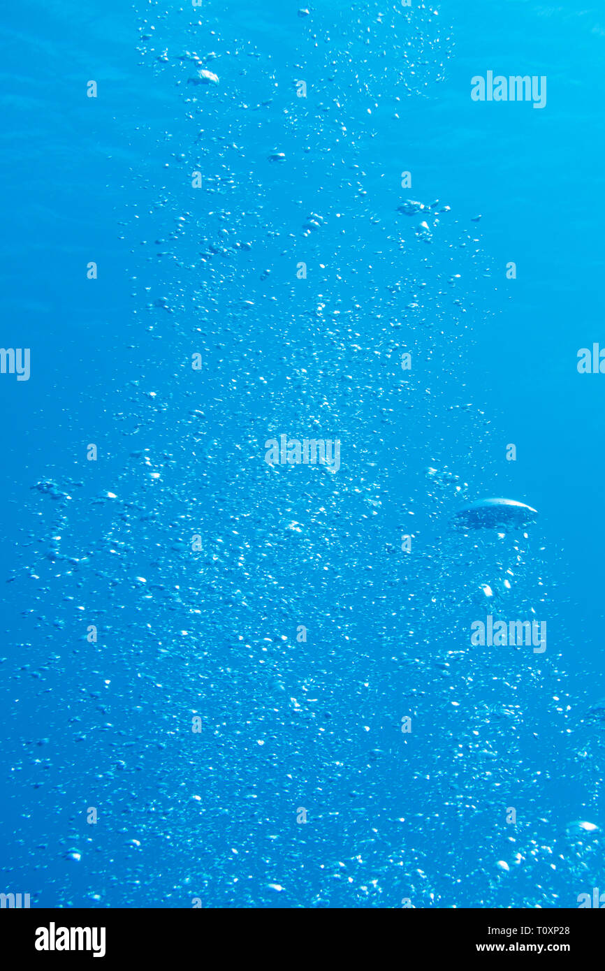 Bubbles from a Scuba diver rising to the surface Stock Photo - Alamy