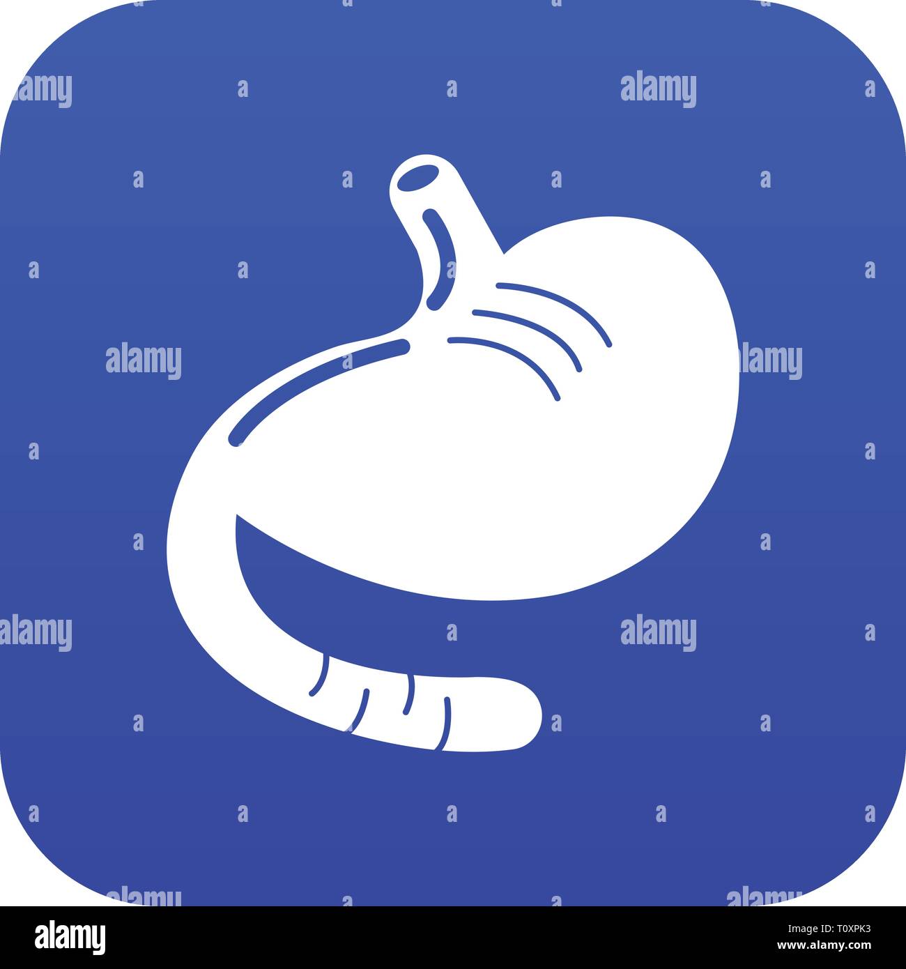 Stomach icon blue vector Stock Vector Image & Art - Alamy