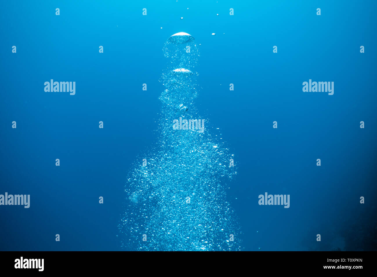 Bubbles from a Scuba diver rising to the surface Stock Photo - Alamy