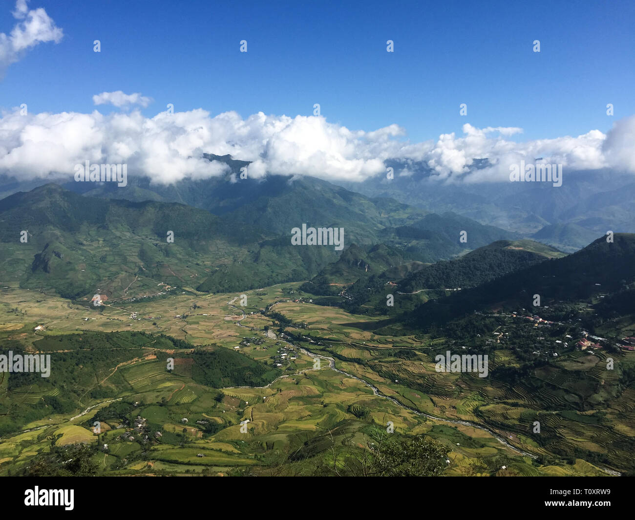 Terraced rice field at summer in Mai Chau Township, Northern Vietnam ...