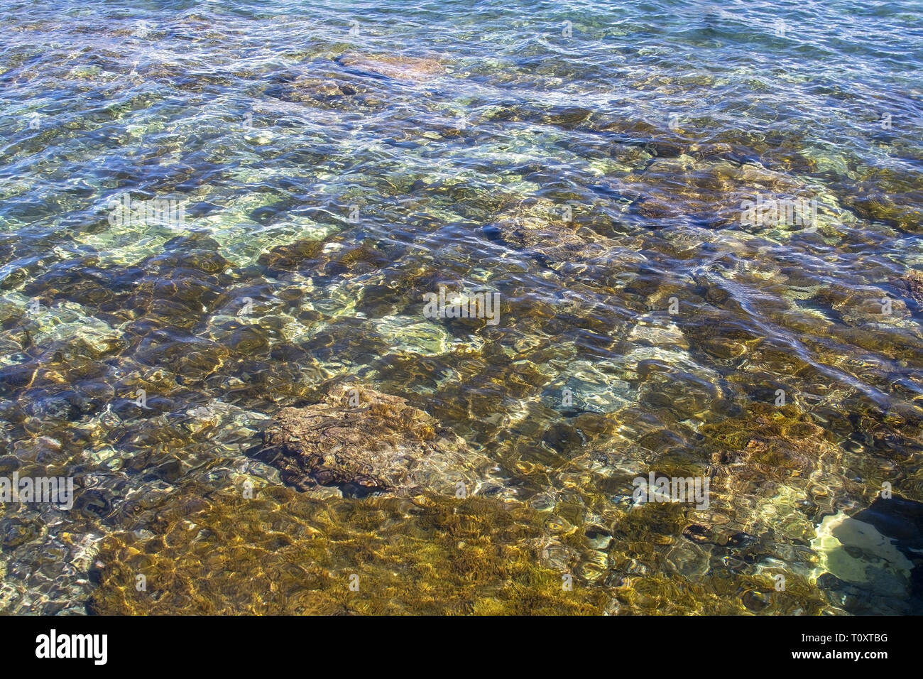 Sea floor with rocks sunlight closeup transparent water, Mallorca ...