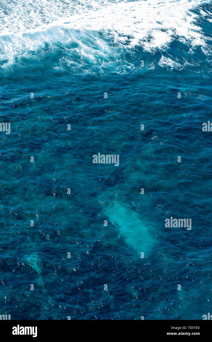 Aerial view of the Batavia shipwreck site (1629) on Morning reef in the ...