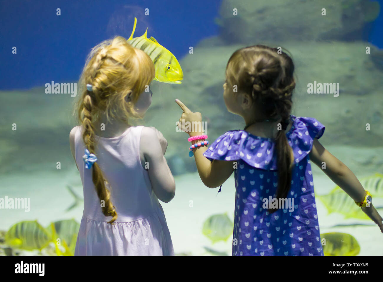 Children fish finger hi-res stock photography and images - Alamy