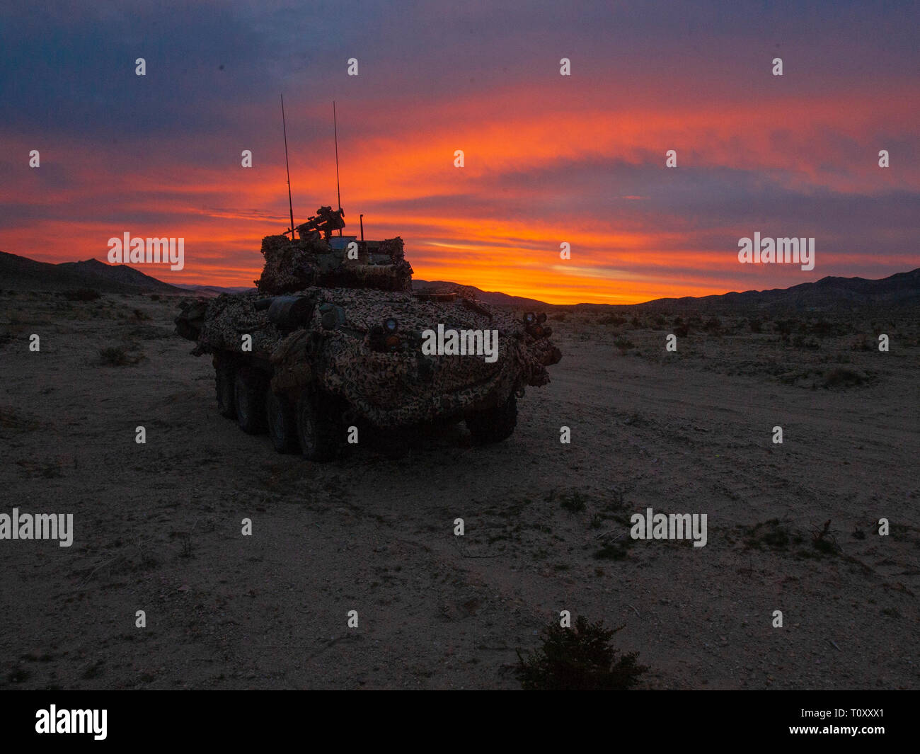 A U.S. Marine Corps Light Armored Vehicle with 2nd Light Armored ...