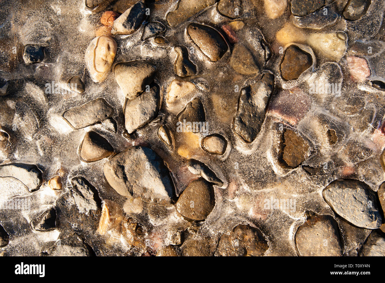 Tertiary pond hi-res stock photography and images - Alamy