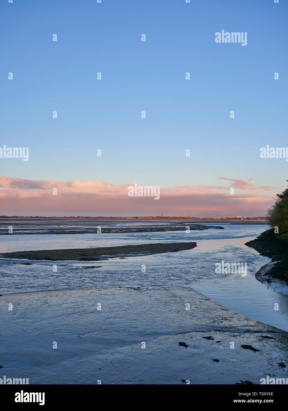 Montrose basin montrose angus scotland hi-res stock photography and ...