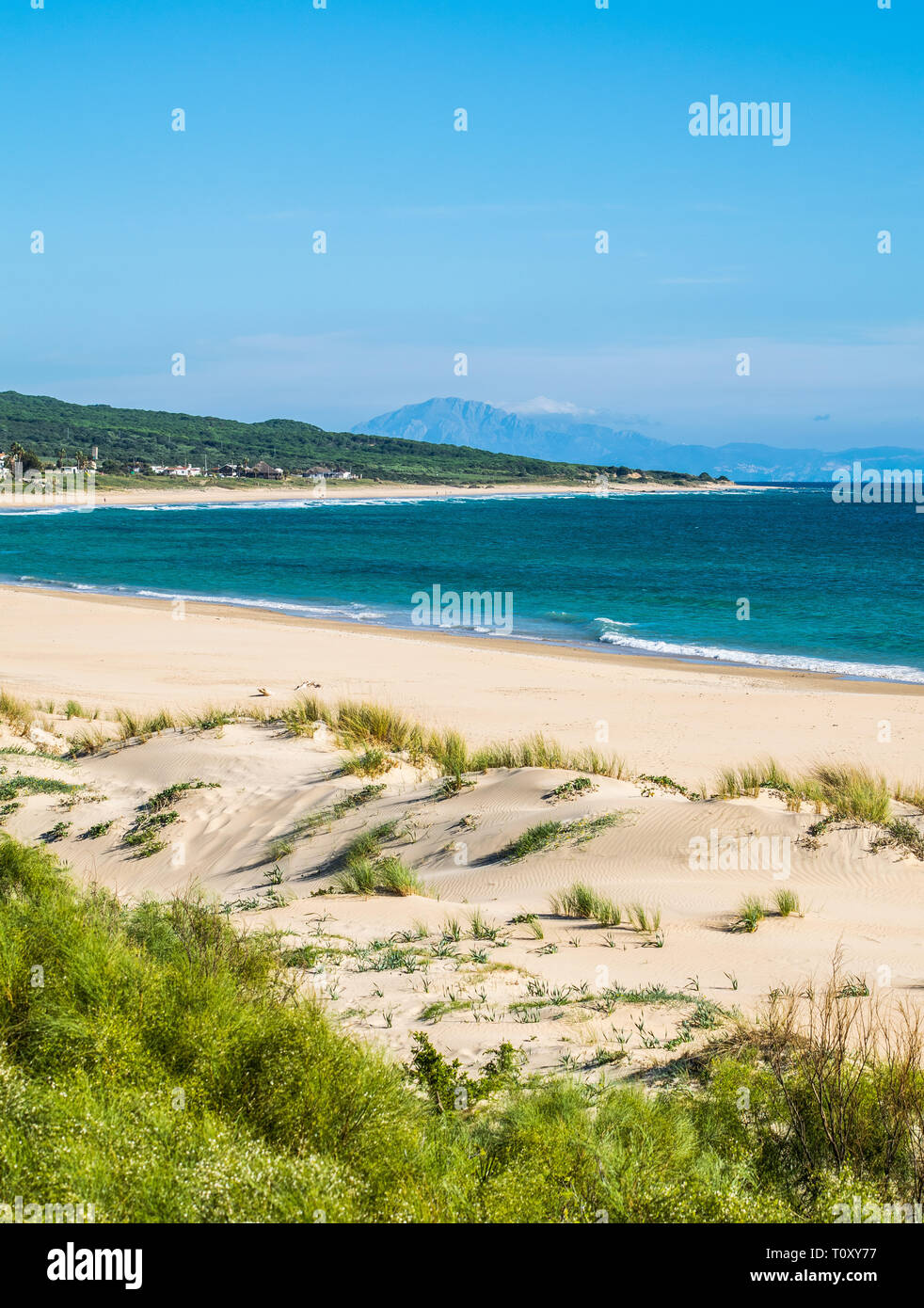 Bolonia medieval hi-res stock photography and images - Alamy