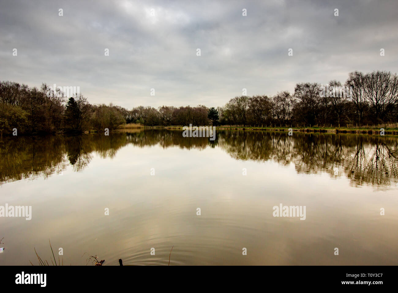 Lake lindow common wilmslow cheshire hi-res stock photography and ...