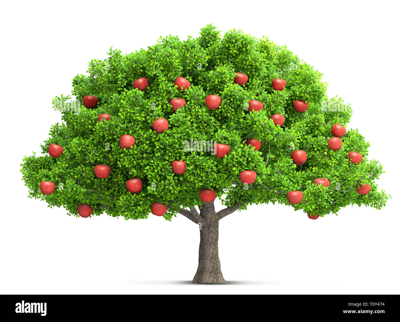 red apple tree isolated 3D illustration Stock Photo - Alamy