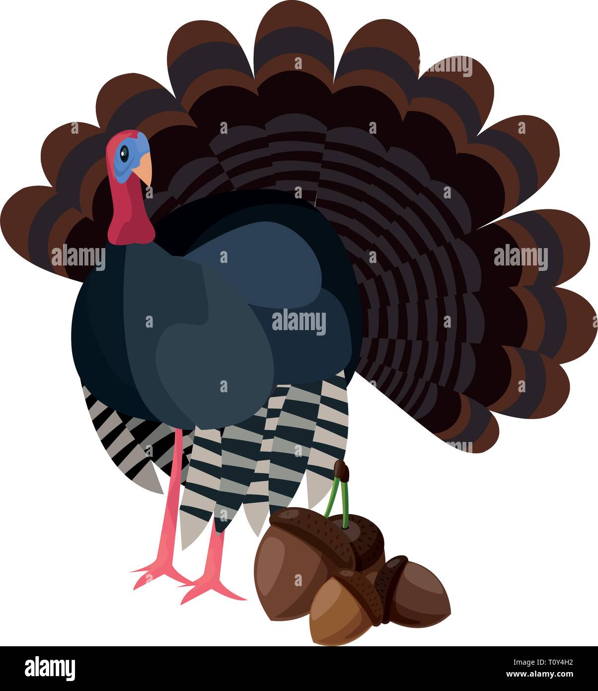 thanksgiving celebrate turkey acorns background vector illustration ...