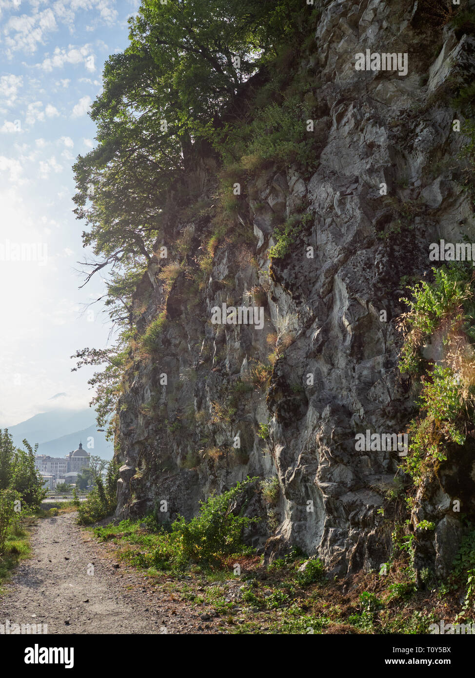 Steep cliff with trees growing on it in the light of the setting sun ...