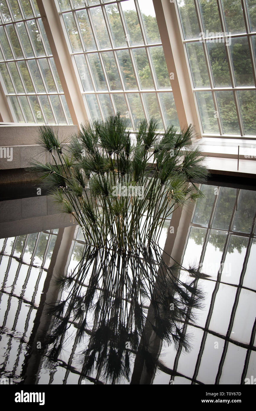The reflecting pool with reeds and lots of windows in the Dendur Temple ...