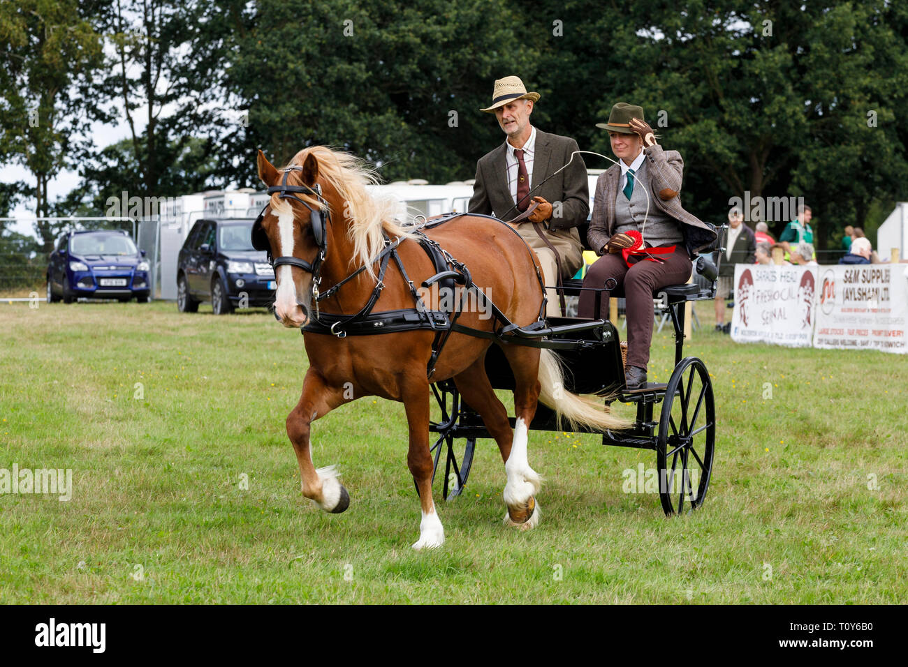 Pony and trap display and competition at the 2018 Aylsham Agricultural ...