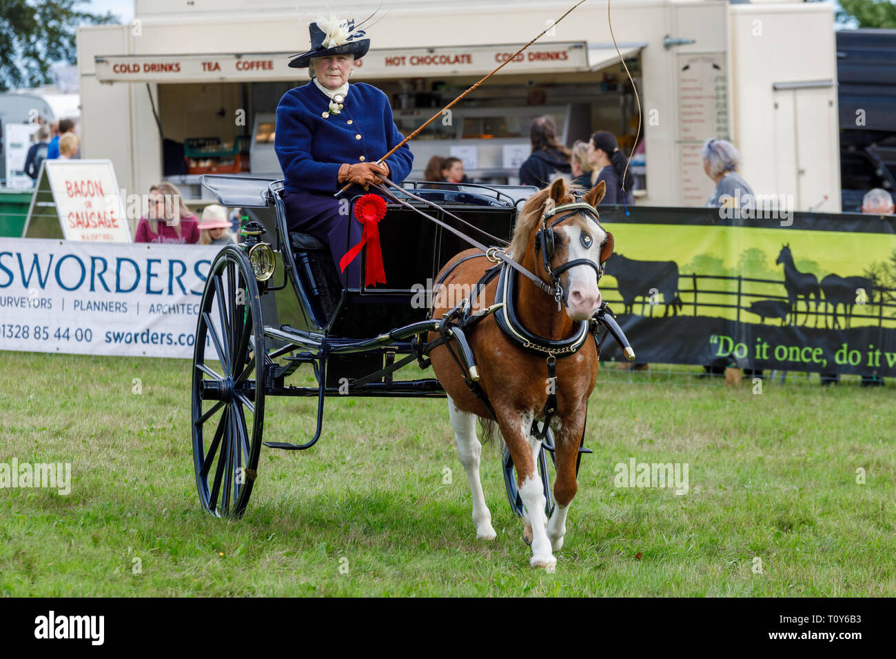 Pony and trap display and competition at the 2018 Aylsham Agricultural ...