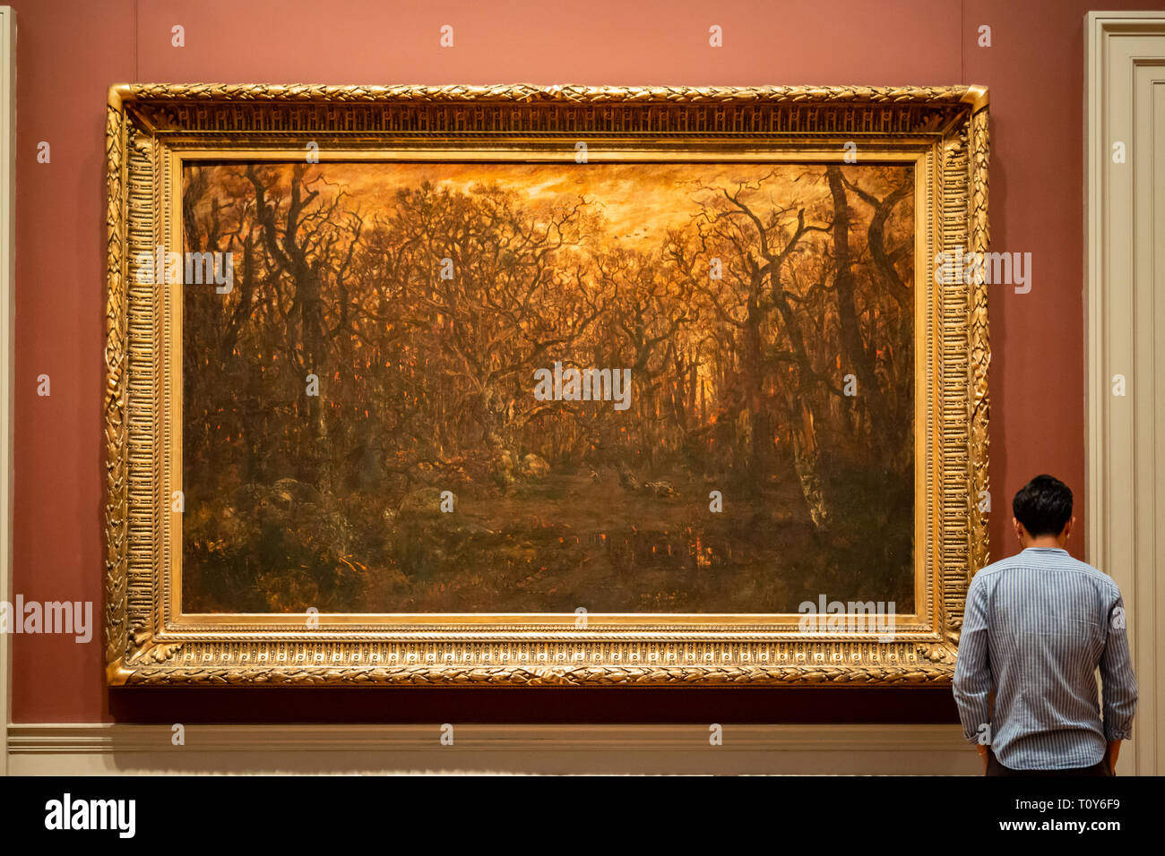 Theodore rousseau museum hi-res stock photography and images - Alamy